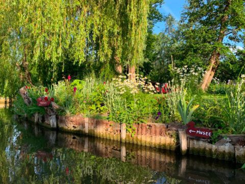 Balades en barques au cœur des hortillonnages d'Amiens (80).